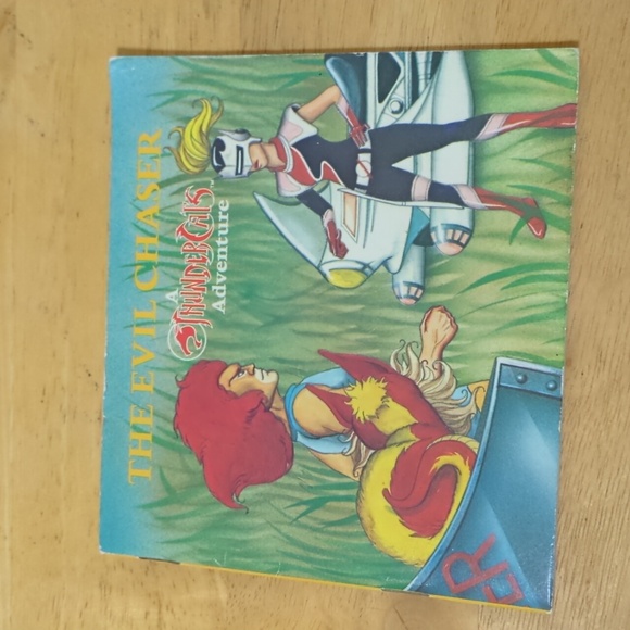 random house | Toys | Vintage Book Thundercats The Evil Chasers Book | Poshmark